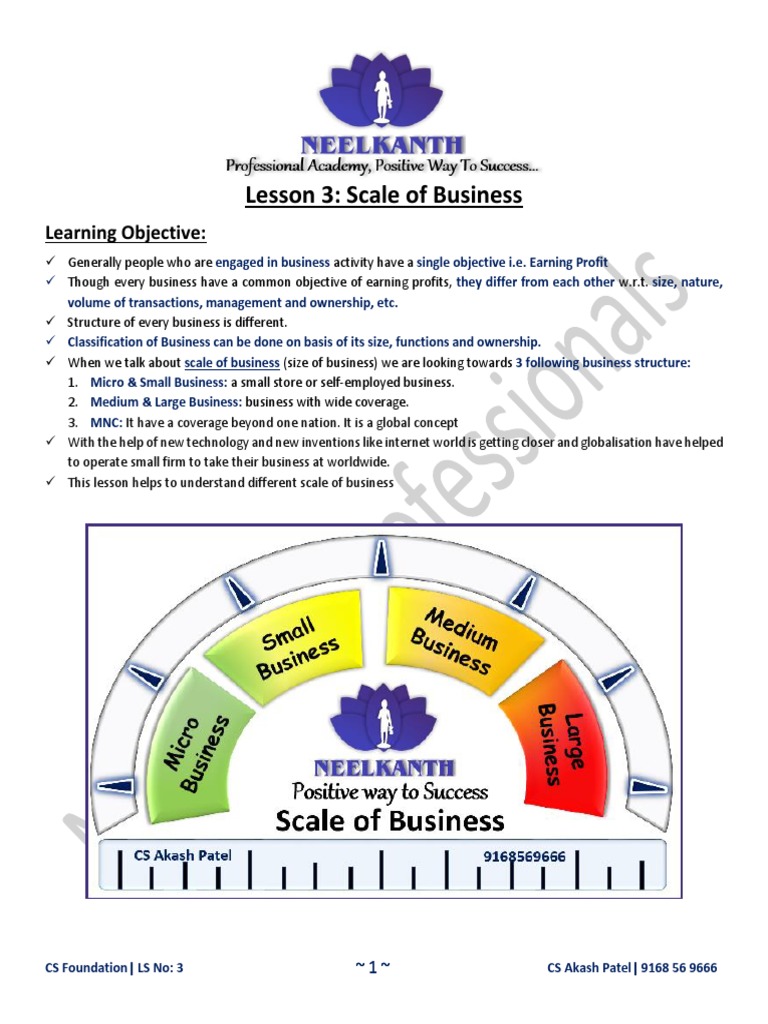 Scales of Business | Download Free PDF | Multinational Corporation ...