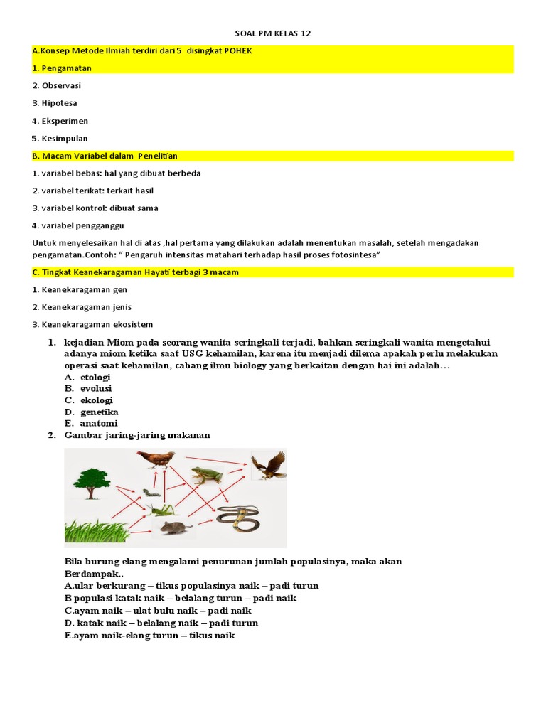 Soal PM Kelas 12 20212022 | PDF