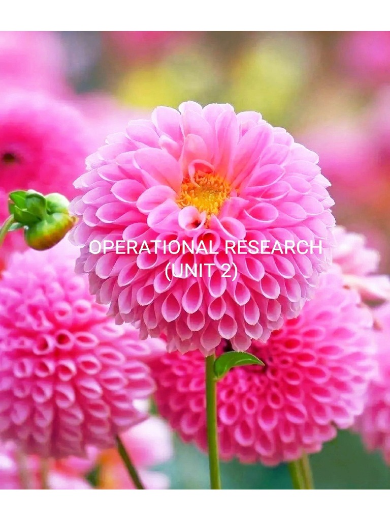 Operational Research (Unit 2) | PDF