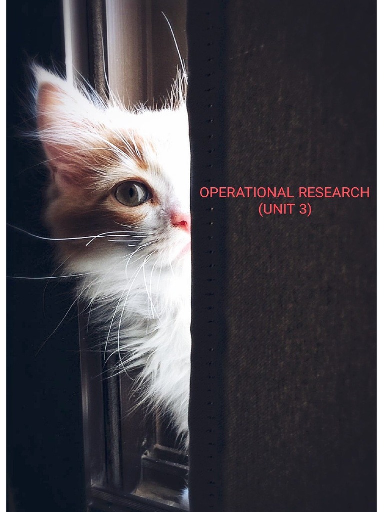 Operational Research (Unit 3) | PDF