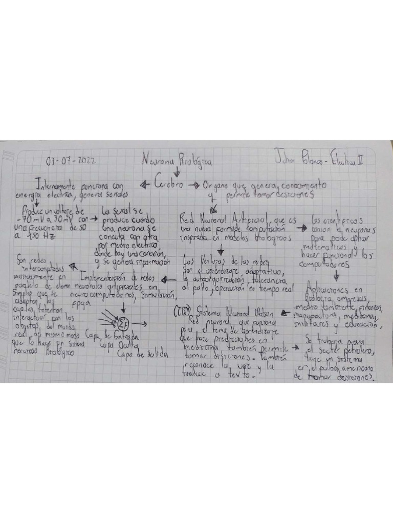 Mapa de Ideas Neurona - Julian Polanco | PDF