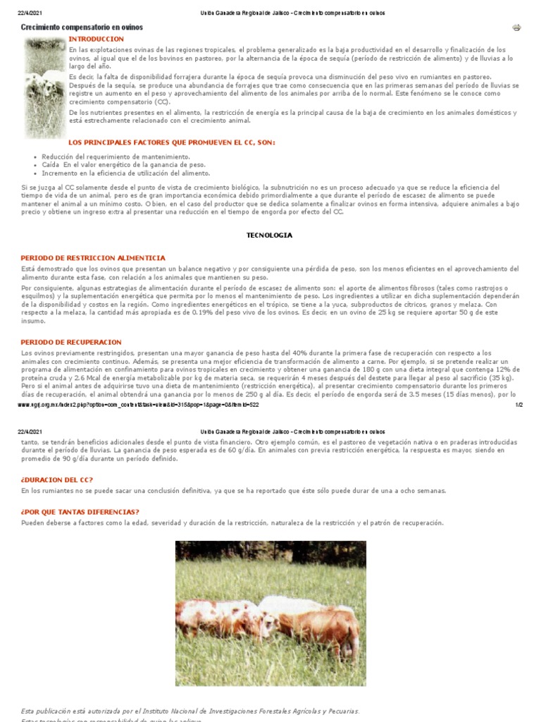 Crecimiento Compensatorio en Ovinos | PDF | Oveja | Alimentos