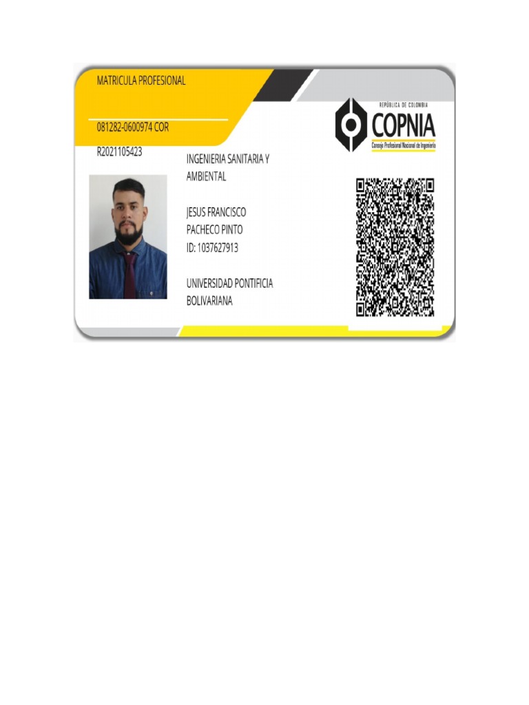 Matricula Profesional | PDF