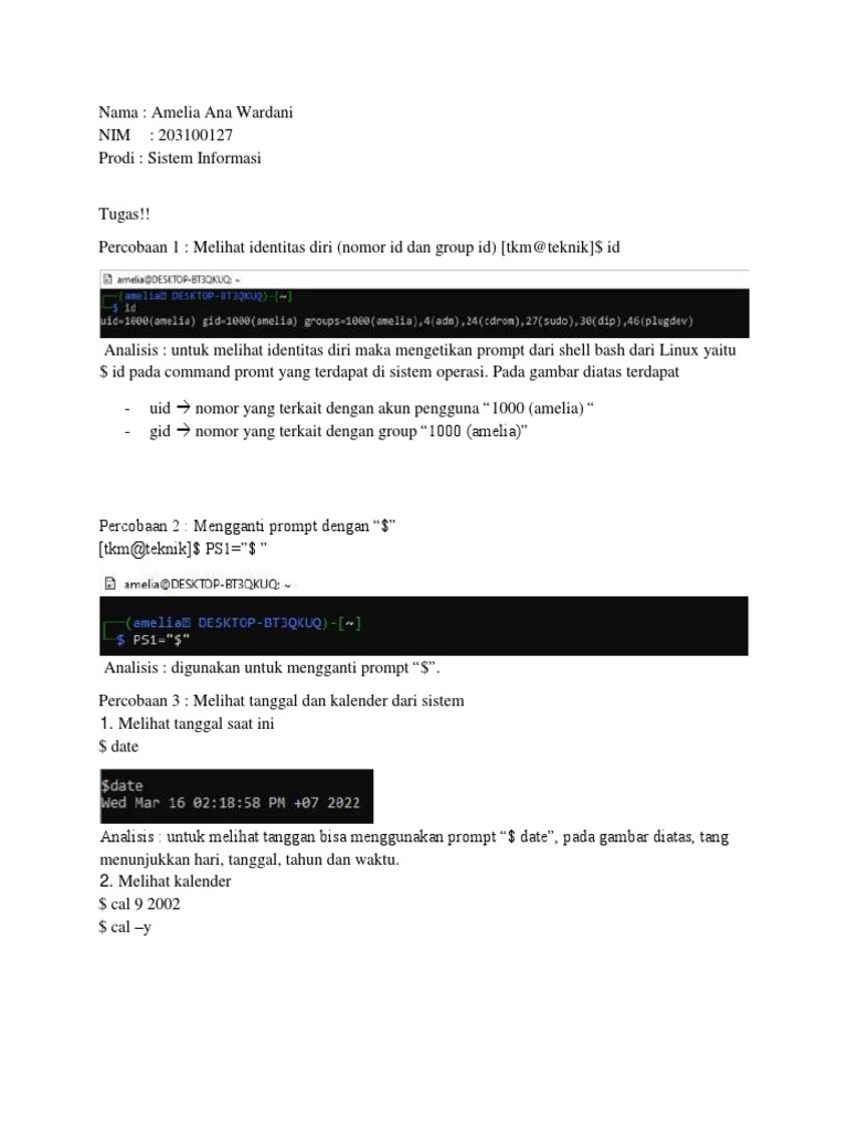Analisis P Dasar Linux - 203100127 | PDF