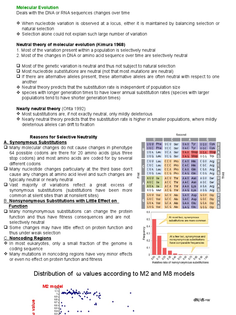 Neutral Theory of Evolution and Molecular Clock | PDF | Point Mutation | Genetic Variation