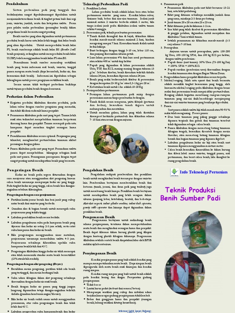 Leaflet Benih Padi | PDF