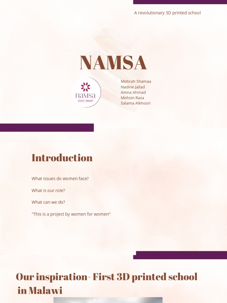 Namsa 3d Printed School | PDF