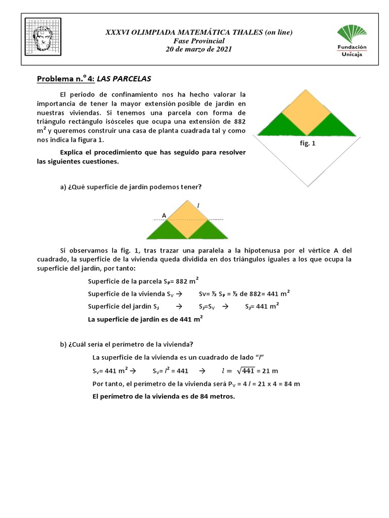 XXXVI P4 Las Parcelas | PDF | Triángulo | Matemáticas