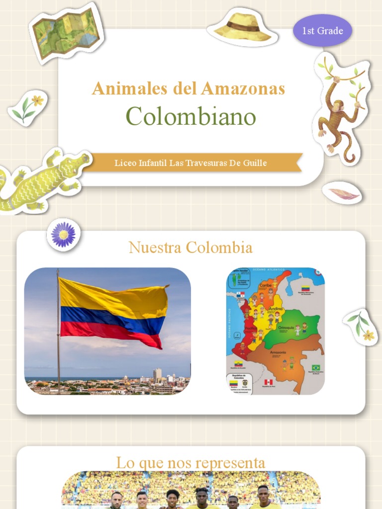 Animales Del Amazonas | PDF