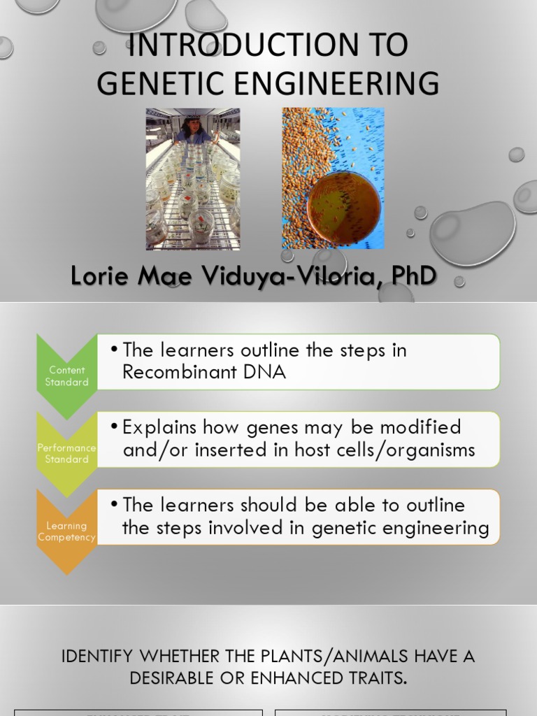 Intro To Genetic Engineering | PDF | Genetically Modified Organism ...