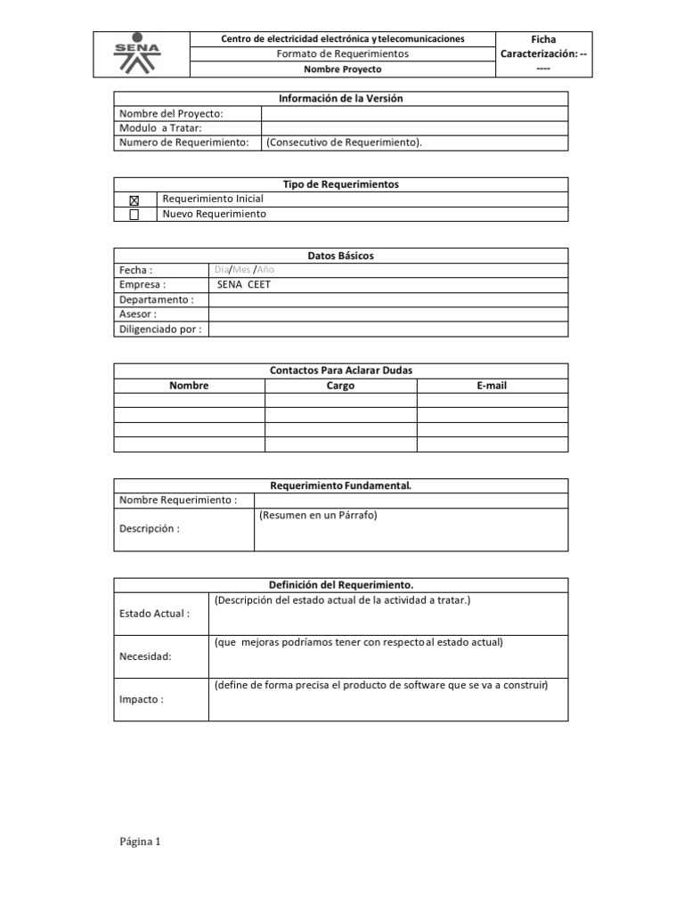 Formato Requerimientos | PDF