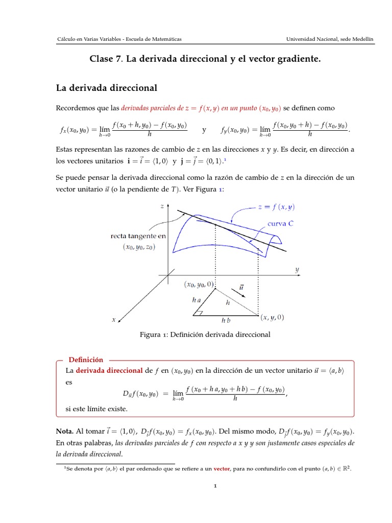 Clase 07. Derivada Direccional y Gradiente | PDF | Degradado | Derivado
