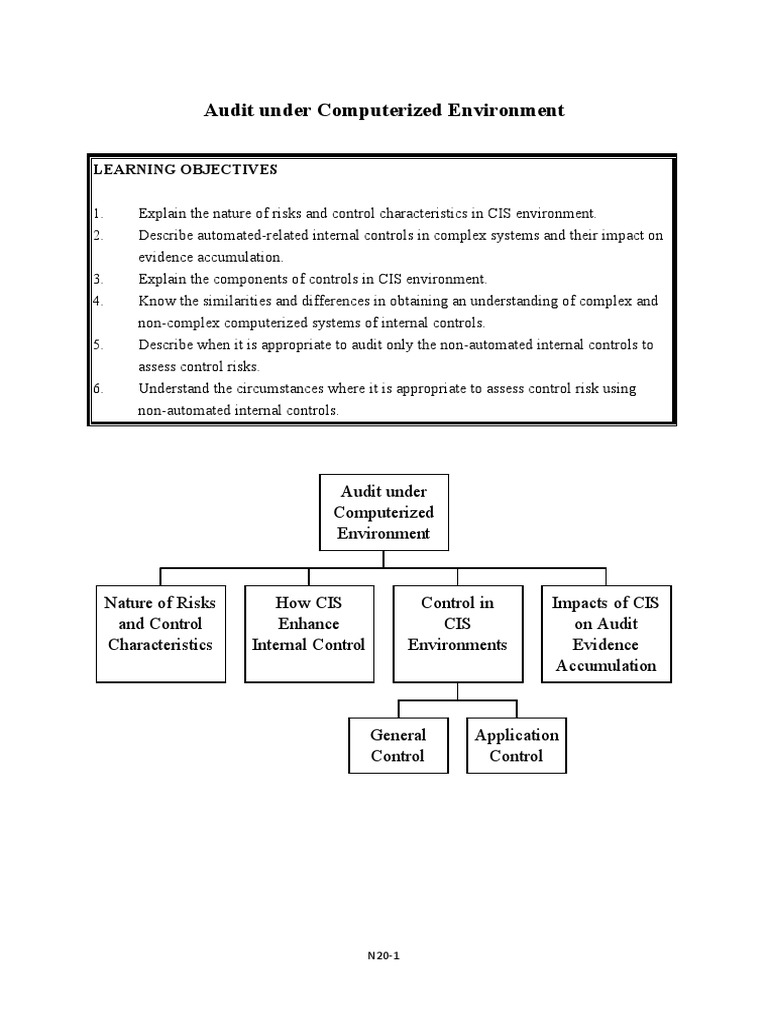 Audit Under Computerized Environment | PDF | Internal Control | Audit