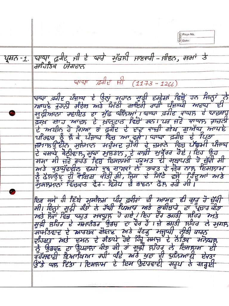 Punjabi Project | PDF