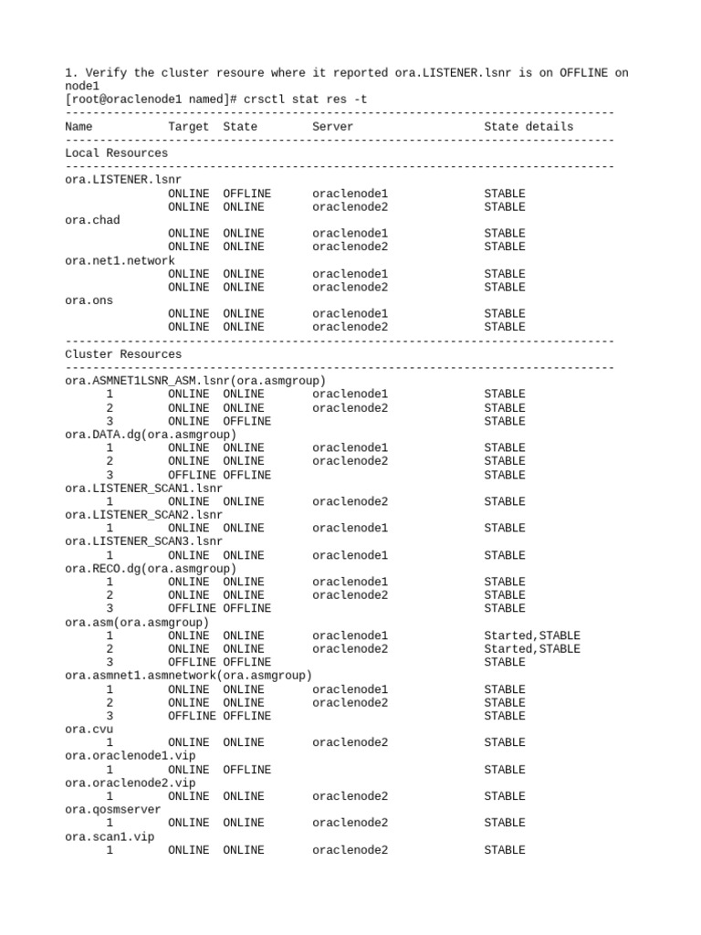Managing VIPs in Oracle RAC Environment | PDF | I Pv6 | Network Protocols