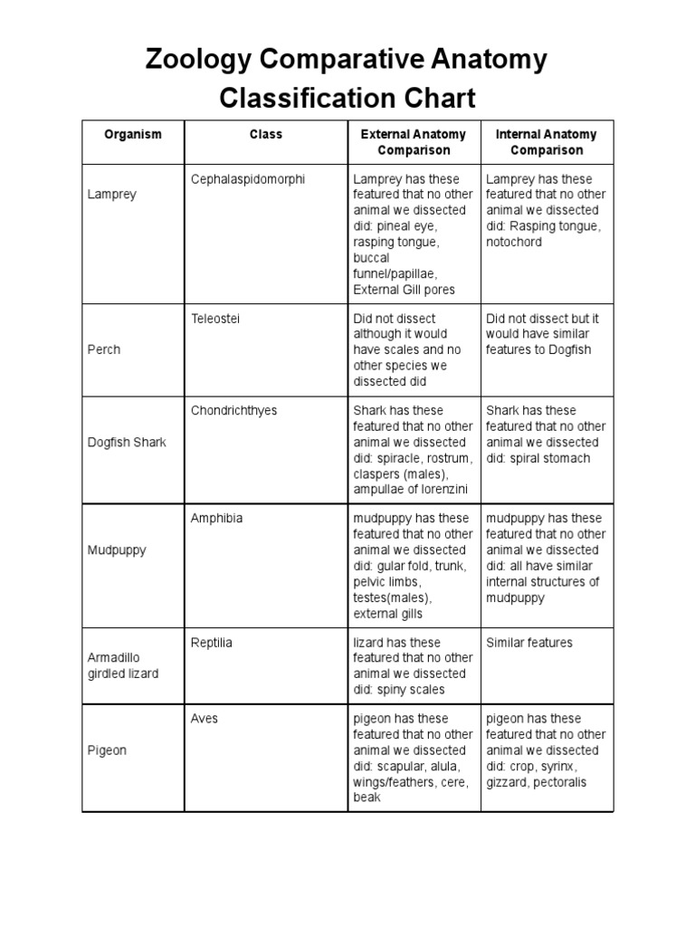 Zoology Comparative Anatomy Classification Chart | PDF | Sharks | Anatomy