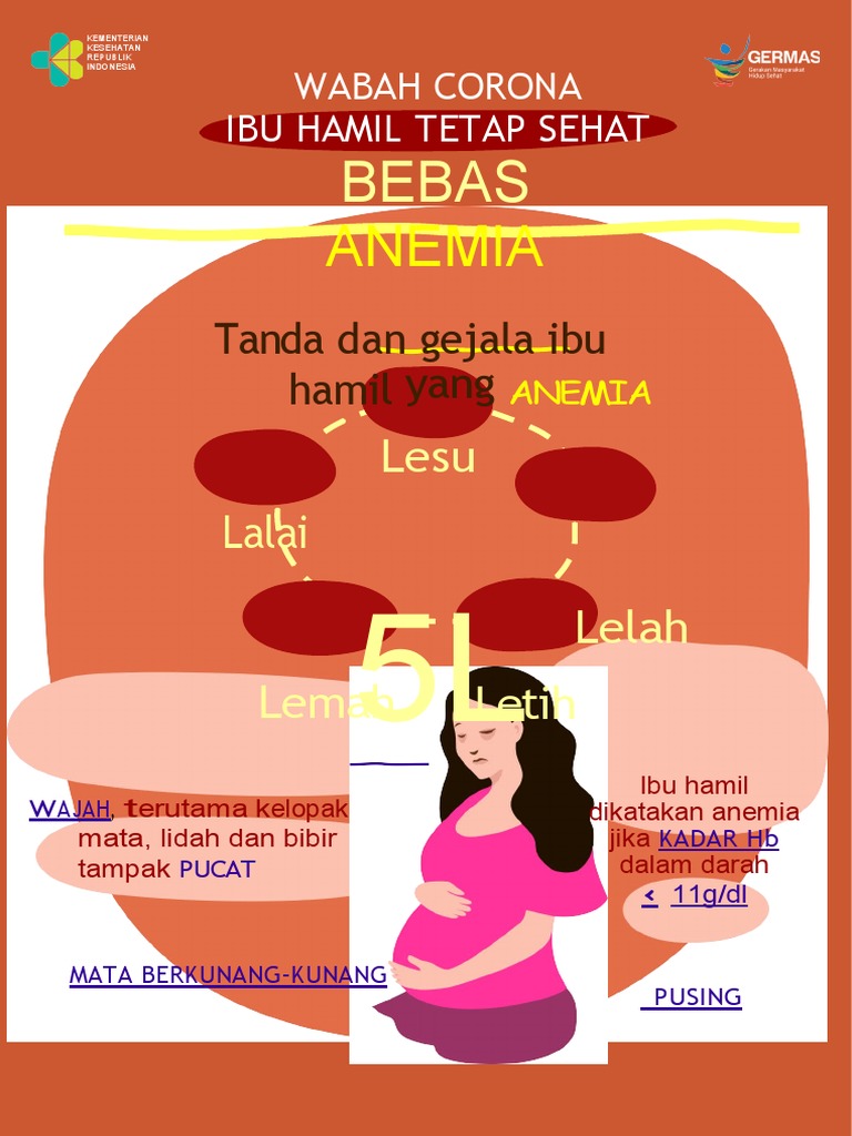 Pencegahan Anemia pada Ibu Hamil | PDF