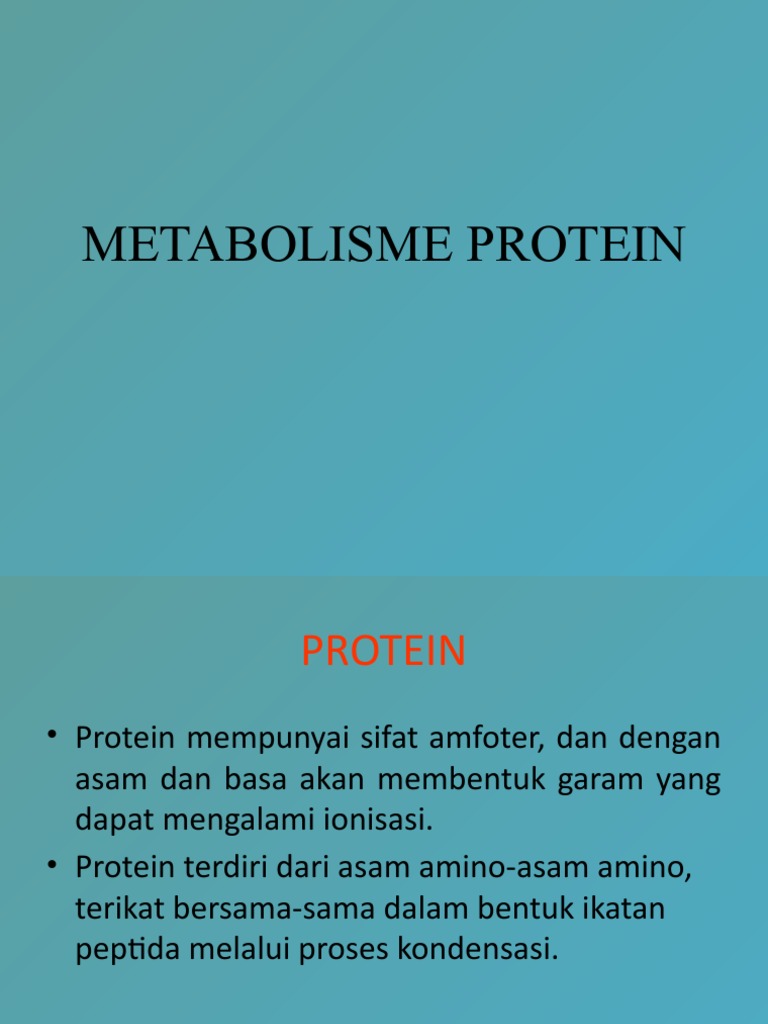 Metabolisme Protein | PDF