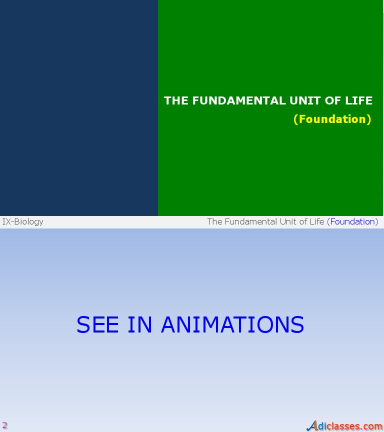 Fundamental Unit of Life in Biology | PDF | Science & Mathematics