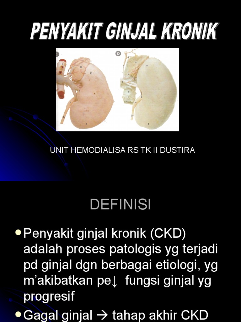 Penyakit Ginjal Kronik dan Gagal Ginjal | PDF | Pengembangan Diri ...