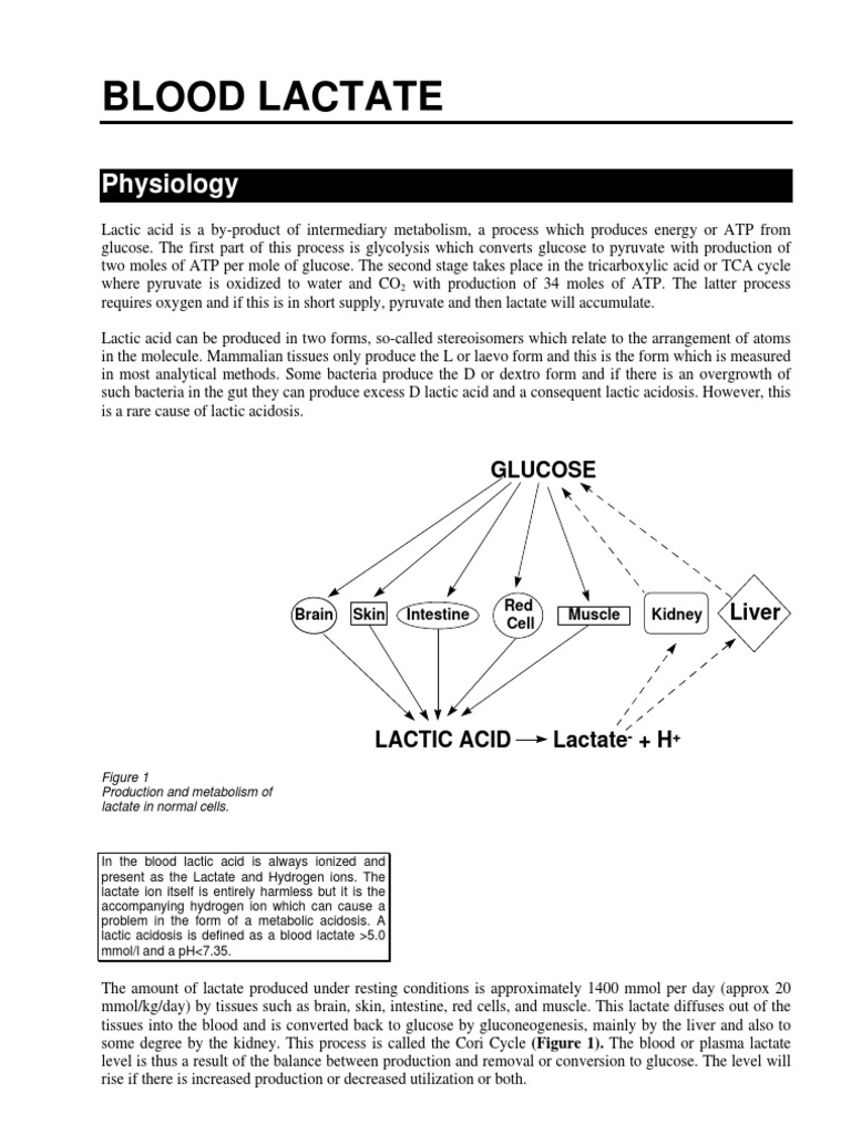 Lactate | Lactic Acid | Hypoxia (Medical) | Free 30-day Trial | Scribd