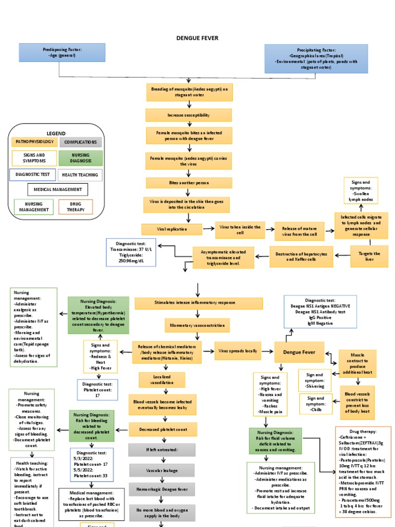 Dengue Fever: Pathophysiology & Management | PDF | Fever | Medicine