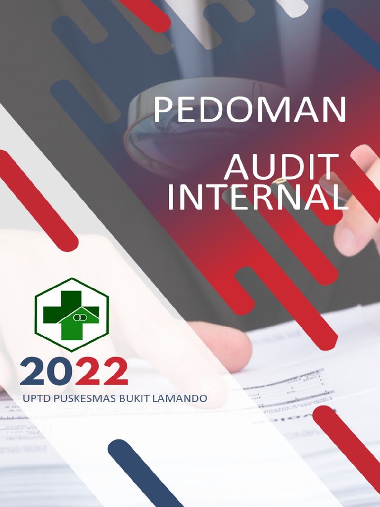 Panduan Audit Internal Puskesmas | PDF | Pengelolaan Keuangan & Uang