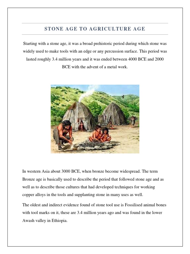 From Stone Age to Agriculture Revolution | PDF | Stone Age | Civilization