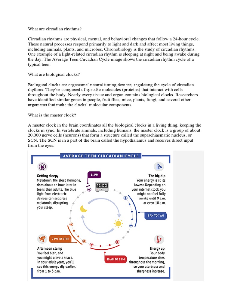Circardian Rhythm | PDF | Circadian Rhythm | Sleep
