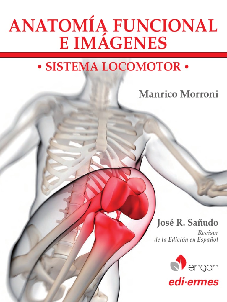 Anatomia Funcional | PDF | Anatomía | Medicina