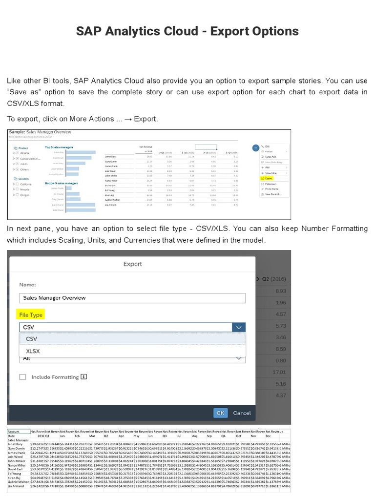 Sap Analytics Cloud Export Options Pdf Computers