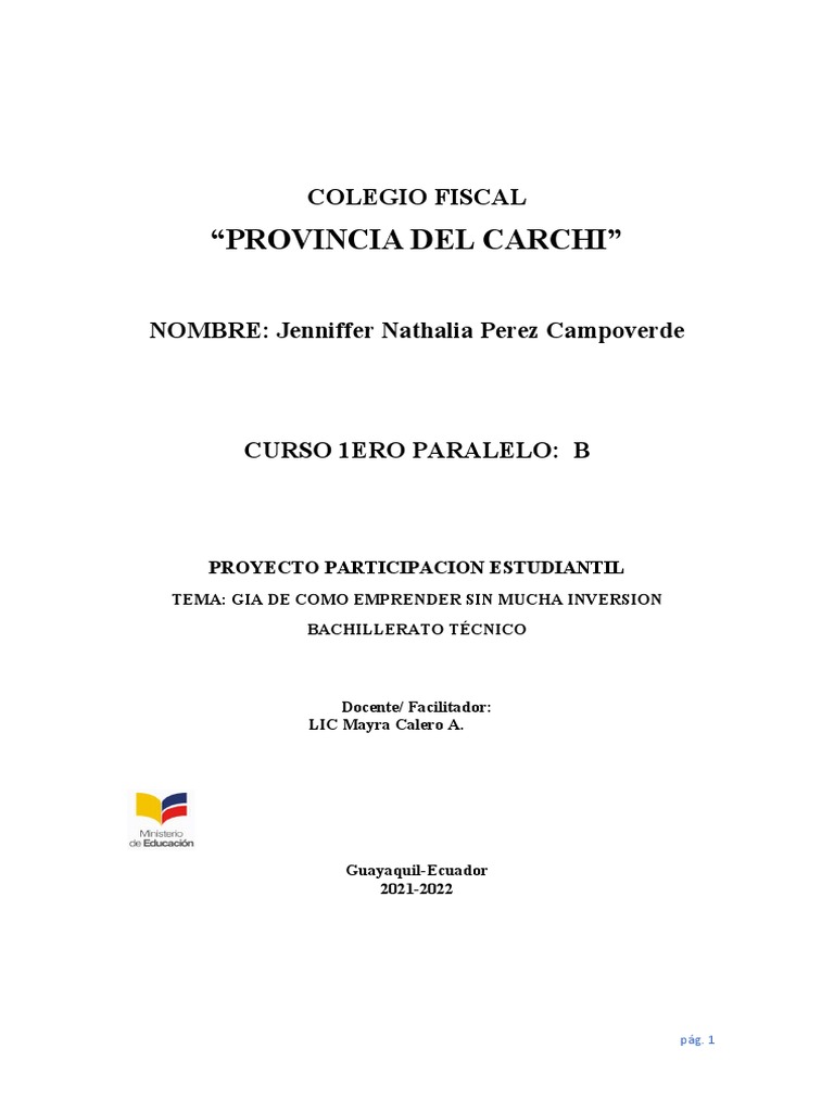 Estructura de PVC PPE | PDF | Iniciativa empresarial | Economias