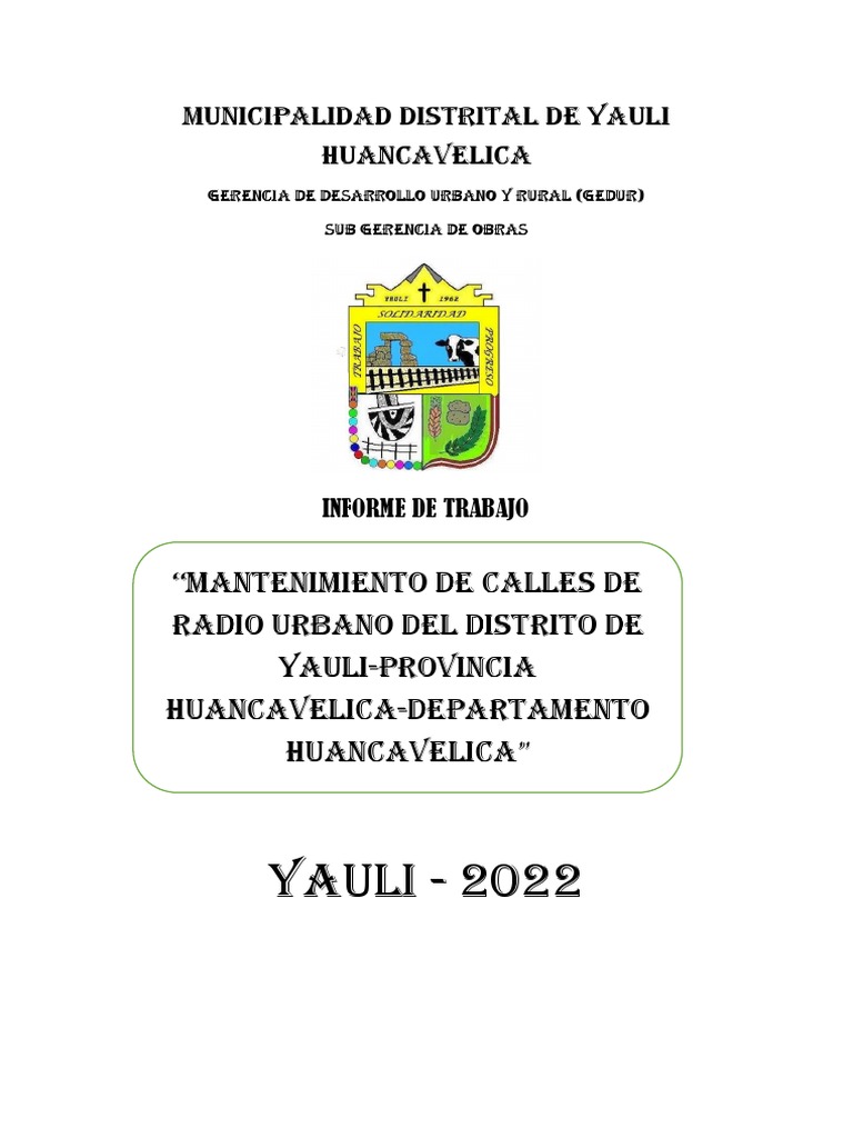 Informe - Gedur | PDF | Tecnología