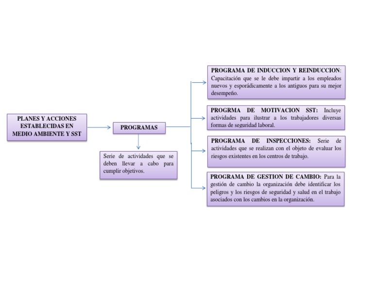 Programas de SST y Medio Ambiente | PDF