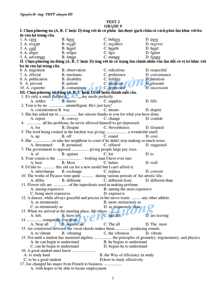 Nguyôn H-Êng-Thpt Chuy N Hy | PDF | Art