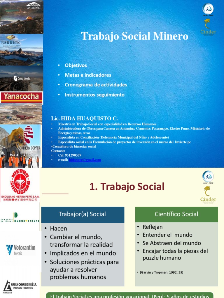 Plan de Trabajo Social en Mineria | PDF | Calidad (comercial) | Business