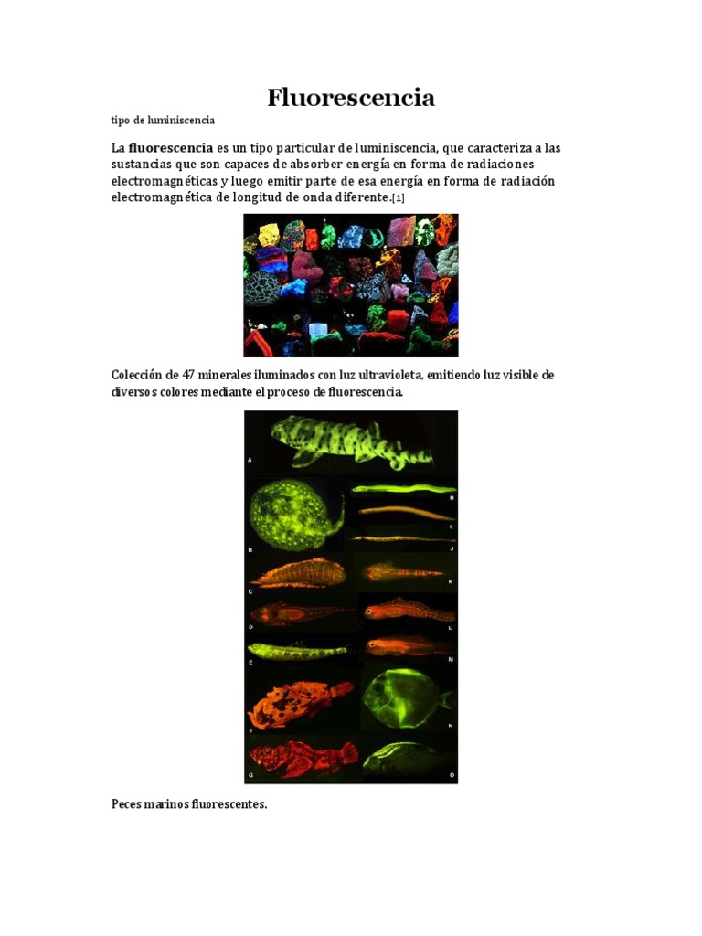 Qué es la fluorescencia y sus aplicaciones | PDF | Fluorescencia ...