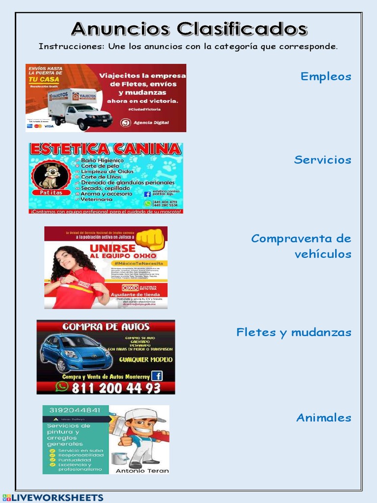 Clasificación de Anuncios Clasificados | PDF
