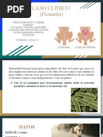 Protocolo Anestésico y Clasificación ASA | PDF | Anestesia | Cirugía