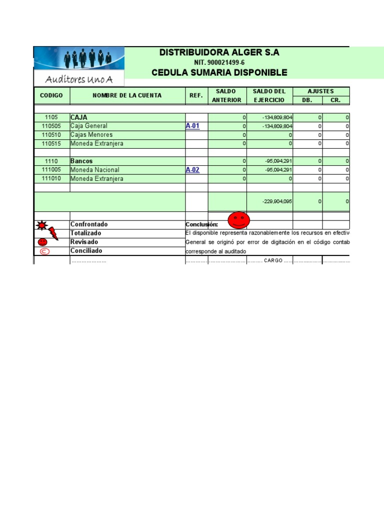 Cedulas Auditoria | PDF | Auditoría | Arrendamiento