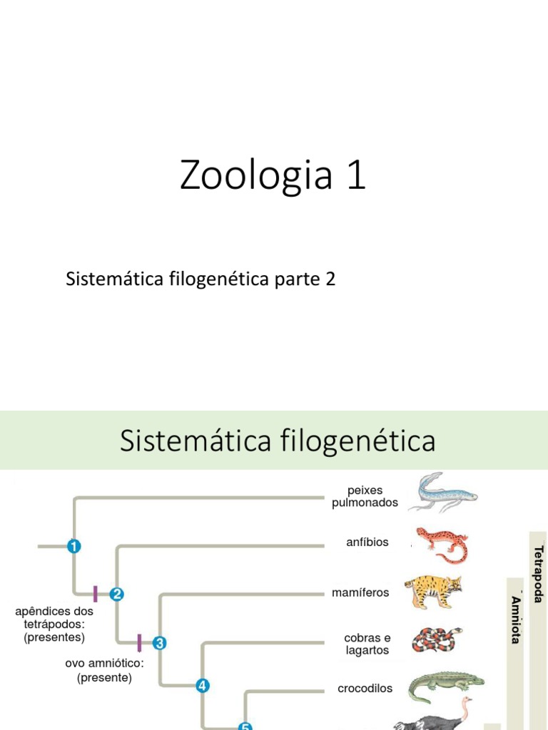 Aula4 Filogenia Parte2 | PDF | Filogenética | Biologia