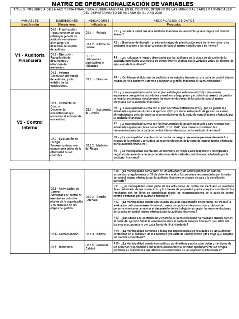 Matriz de Operacionalización de Variables | PDF | Auditoría | Business