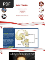 ANEXO TEMA 3 RODILLA-Fosa Intercondilea | PDF | Rodilla | Pelvis