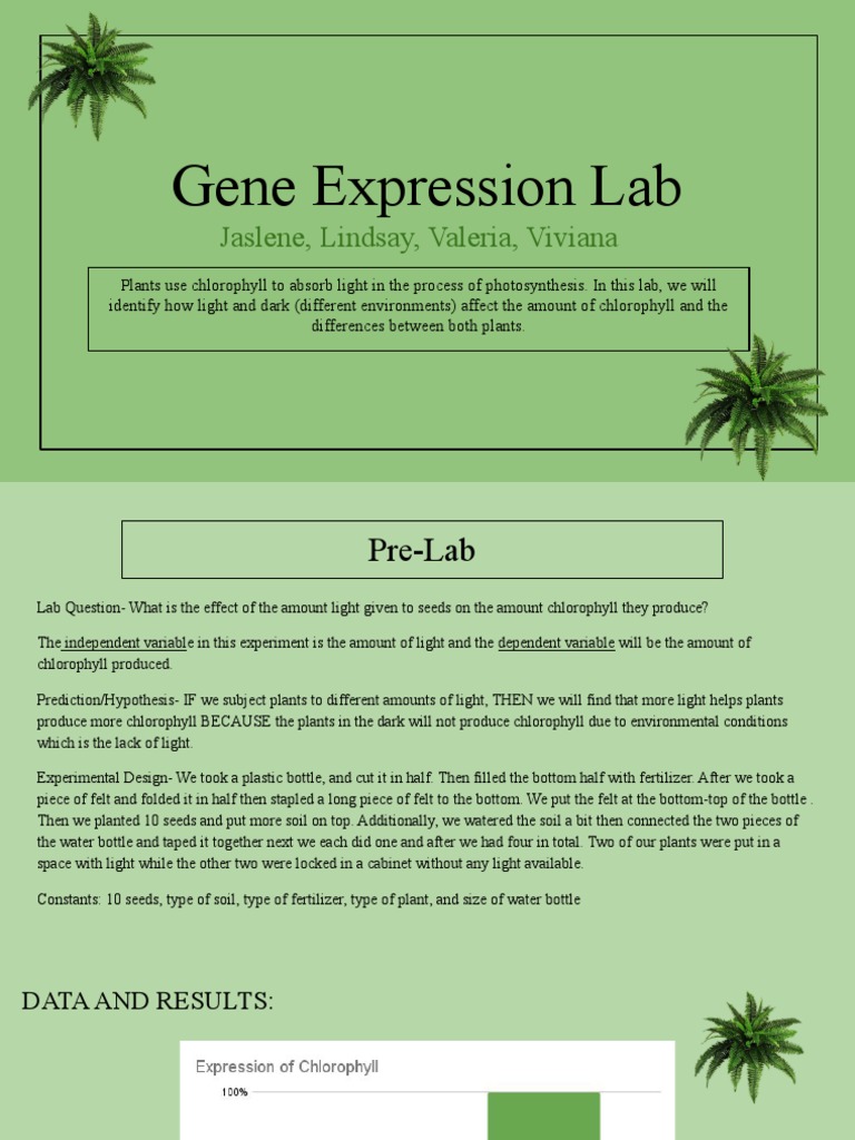 Gene Expression Lab | PDF | Plants | Chlorophyll