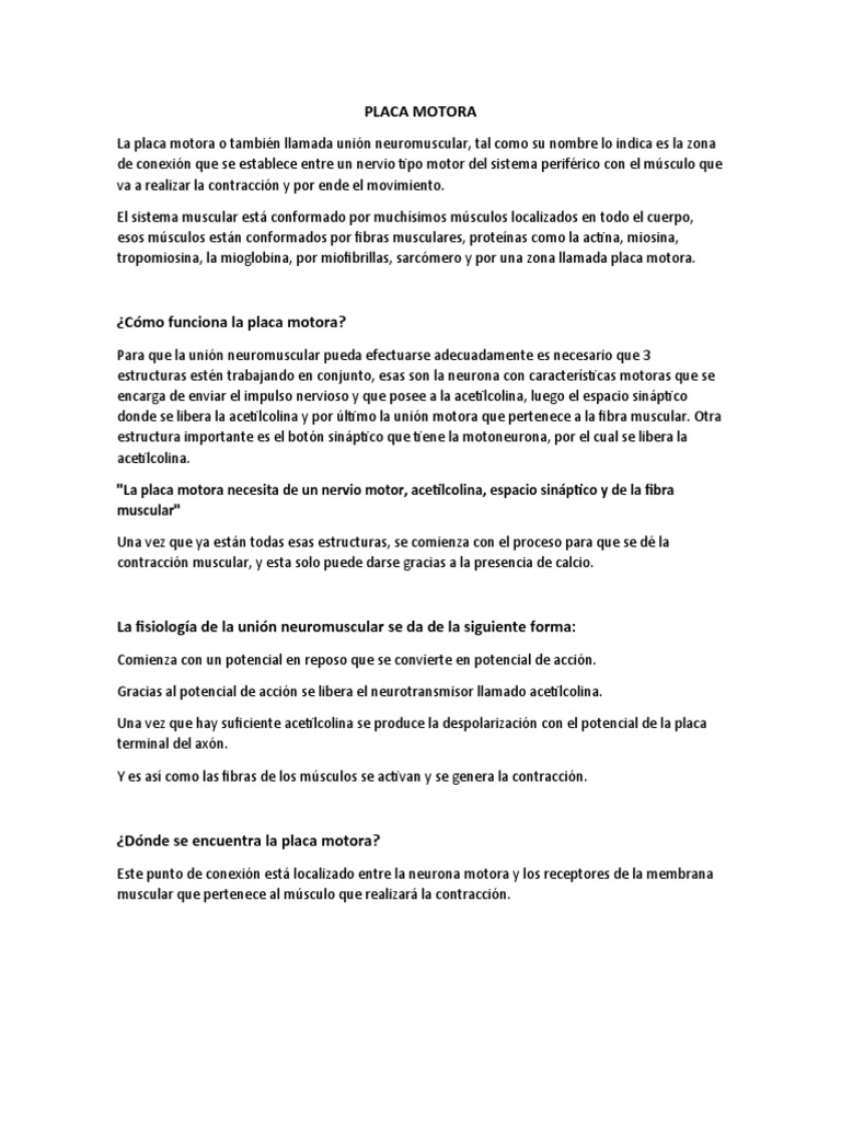 Placa Motora | PDF | Unión neuromuscular | Norepinefrina