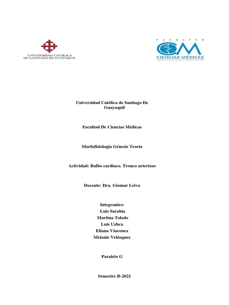 Bulbo Cardíaco y Tronco Arterioso: Formación y Función | PDF | Corazón ...