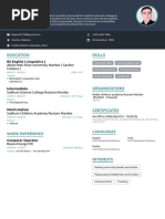 Curriculum Vitae (Eng) Formal | PDF | Cognition | Learning