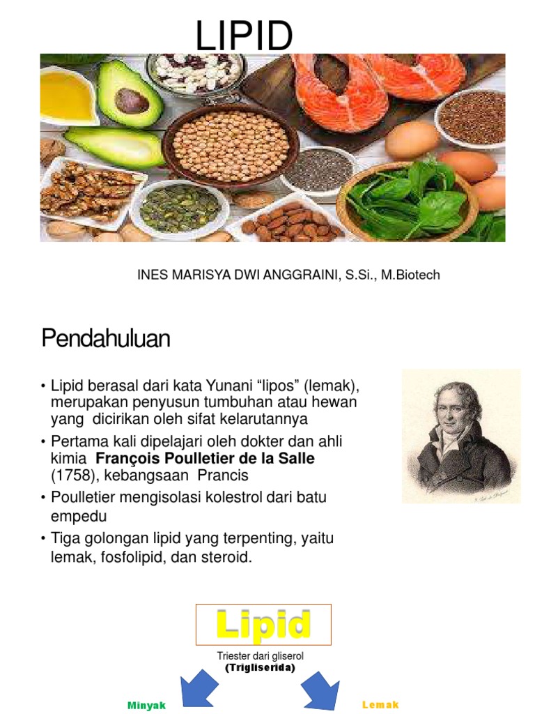 Lipid: Jenis, Sifat, dan Reaksi | PDF