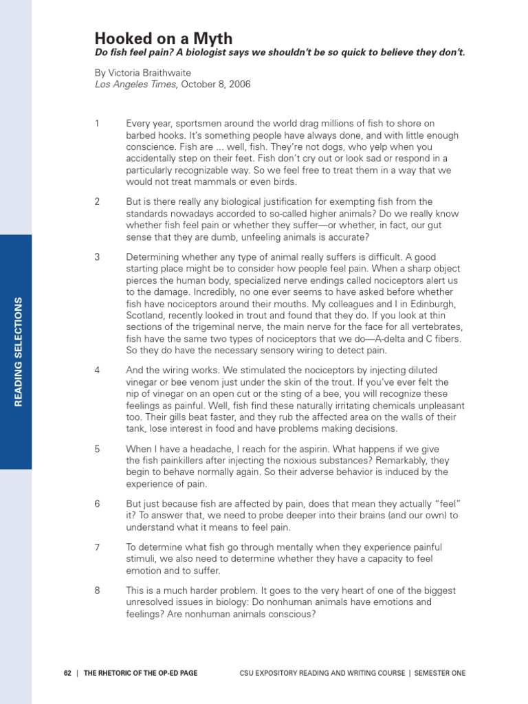 Braithwaite Hooked On A Myth | PDF | Consciousness | Emotions