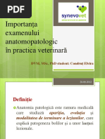 Tabel Manuale Scolare | PDF